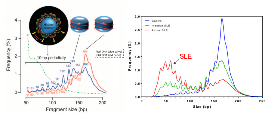 cfDNA片段长度研究进展 – 伯科生物
