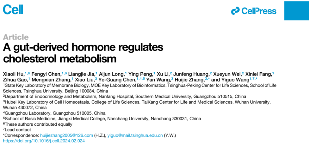 Cell | 潜在降脂新靶点Cholesin（肠抑脂素） – 伯科生物