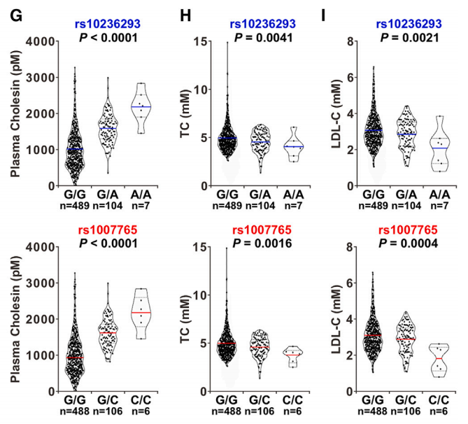 Cell | 潜在降脂新靶点Cholesin（肠抑脂素） – 伯科生物