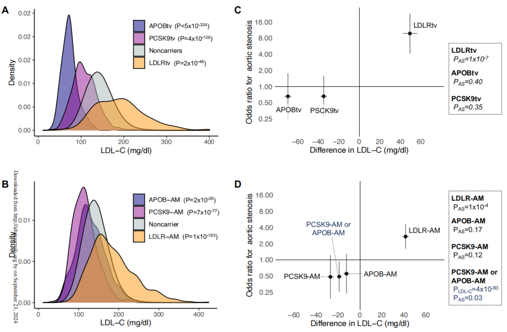 Circulation | LDLR、APOB和PCSK9的罕见遗传变异与主动脉狭窄有关 - 伯科生物