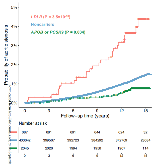 Circulation | LDLR、APOB和PCSK9的罕见遗传变异与主动脉狭窄有关 - 伯科生物